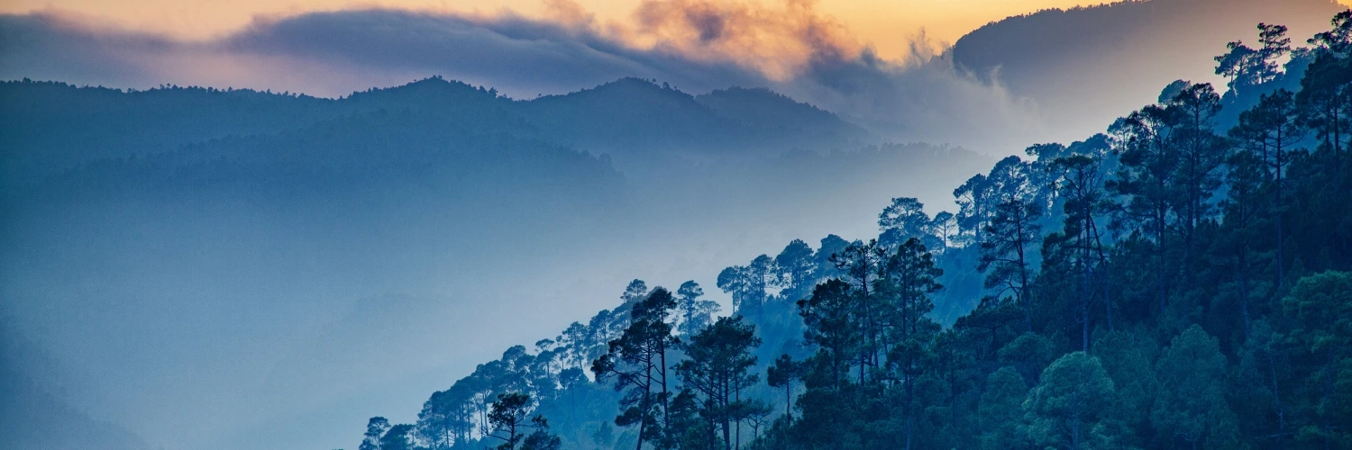 The Indian Himalayas – Delmar World – Talk Travel